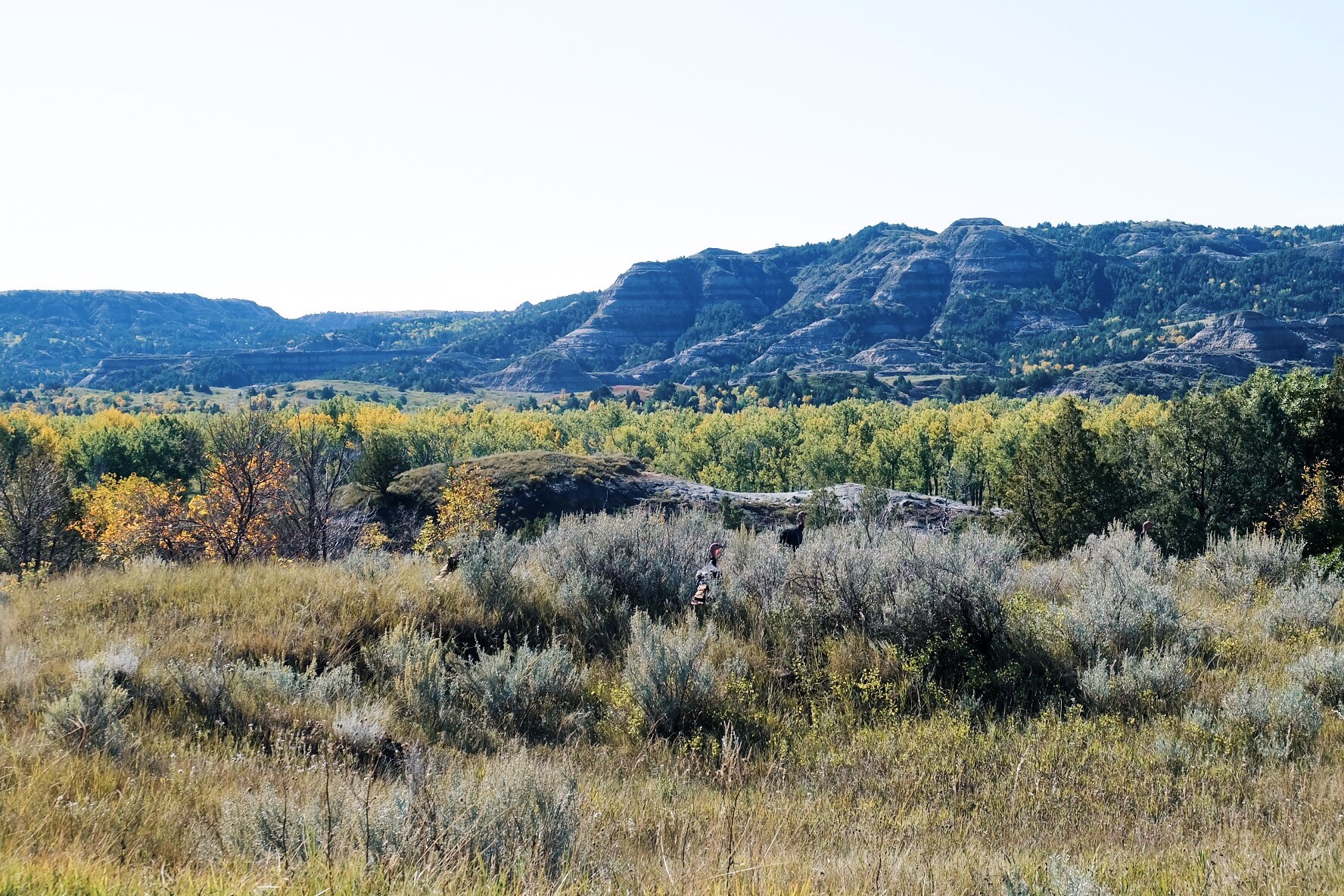First Day of Fall | Theodore Roosevelt National Park – Bethany byman