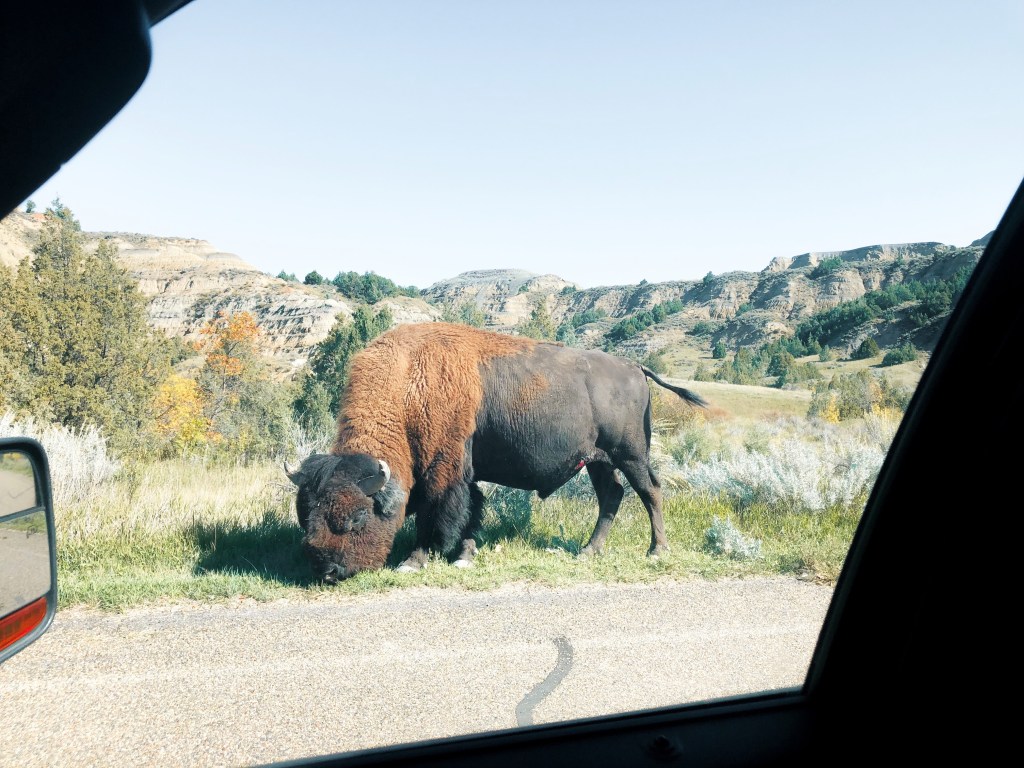 First Day of Fall | Theodore Roosevelt National Park – Bethany byman