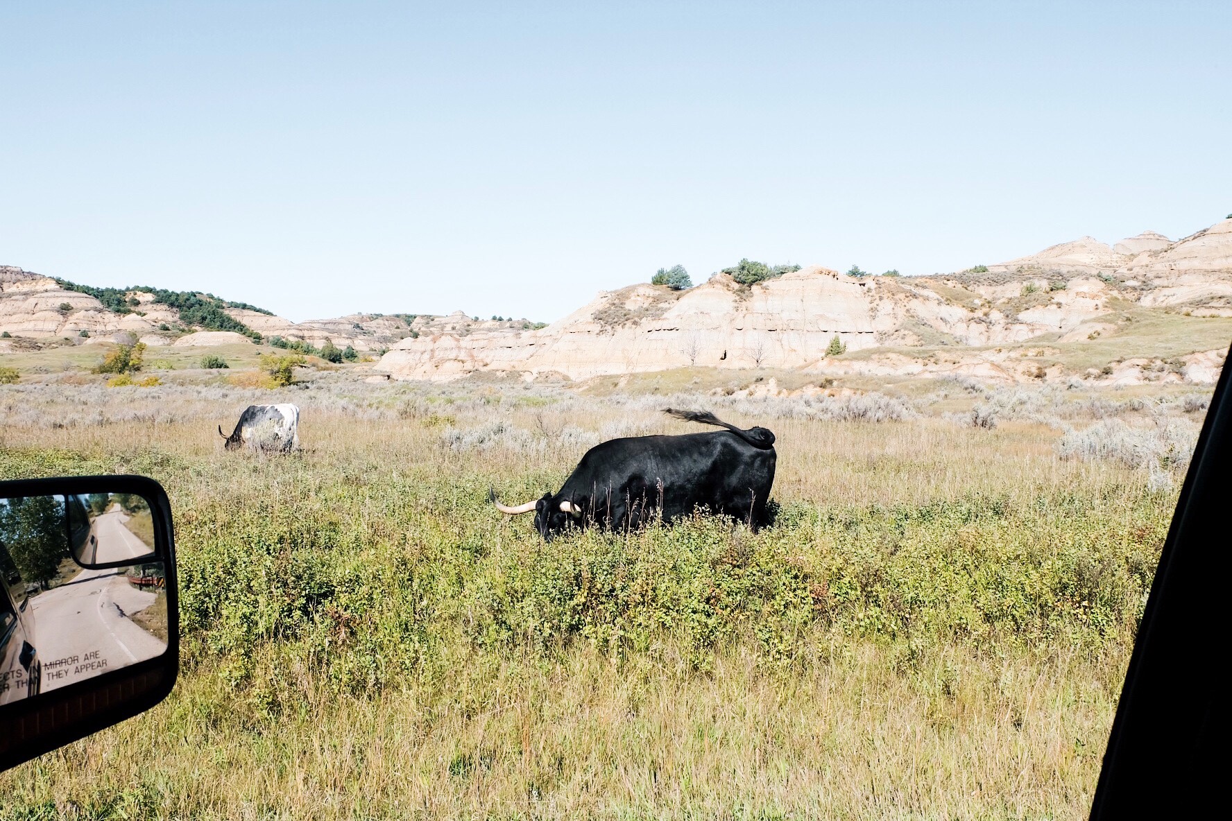 First Day of Fall | Theodore Roosevelt National Park – Bethany byman